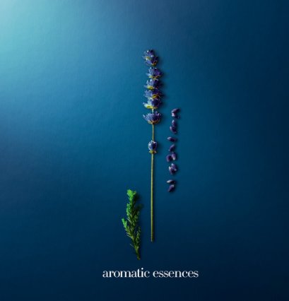 ACQUA DI GIO PROFONDO LIGHTS: EL MISTERIOSO AROMA DEL MAR – EAU DE BEAUX