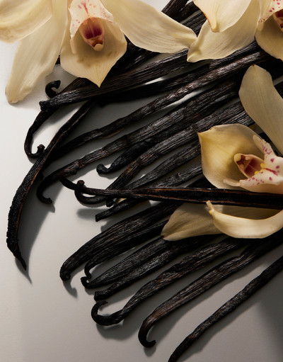 DOLCE VIOLET: EL JUVENIL AROMA DE LA VIOLETA DE DOLCE AND GABBANA – EAU ...