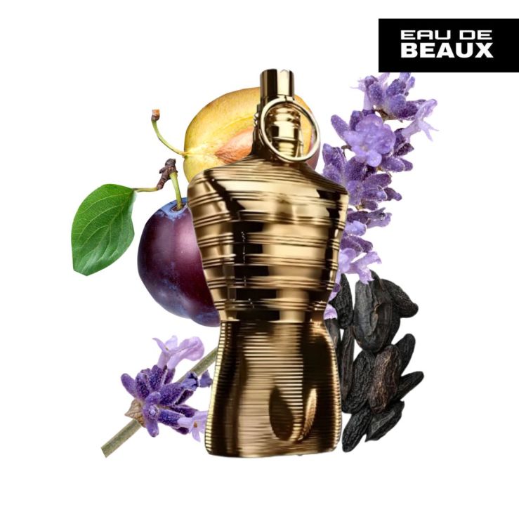 LE MALE ELIXIR ABSOLU: EL PELIGROSO MARINERO DE JEAN PAUL GAULTIER ...