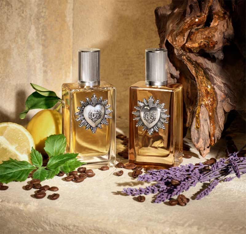 DEVOTION POUR HOMME PARFUM DE DOLCE AND GABBANA: EL CAFÉ EN SU ESTADO ...